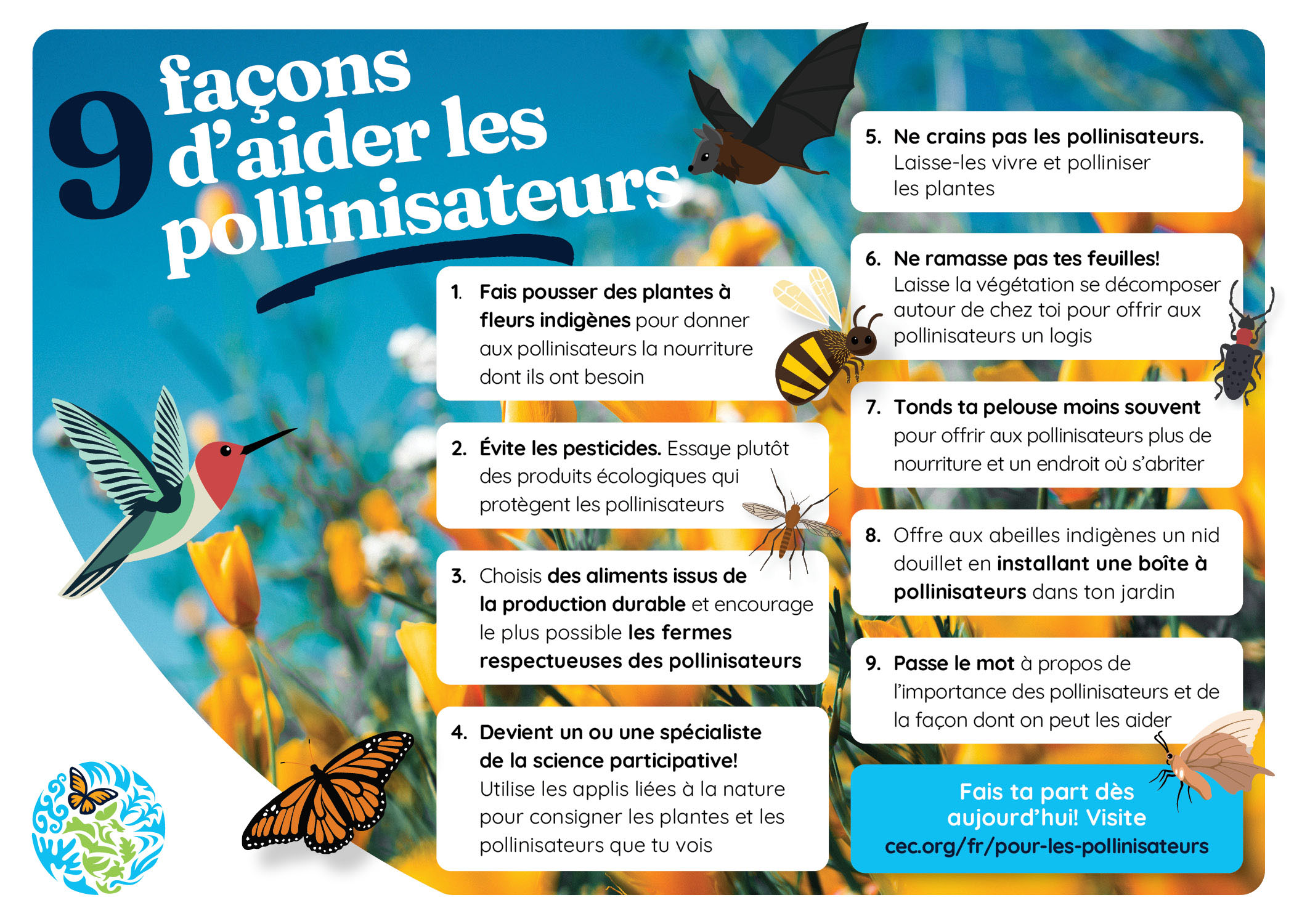 Pour les pollinisateurs