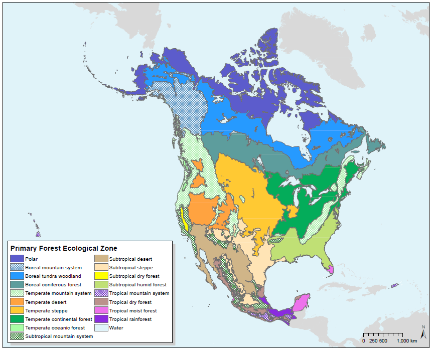 North American Forests, 2022 – Commission for Environmental Cooperation North American Forests, 2022 – Commission for Environmental Cooperation