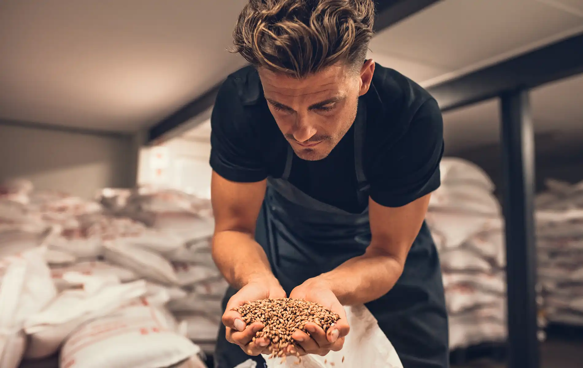 Mass Balance - Why and How to Measure Food Loss and WasteWhy and How to ...