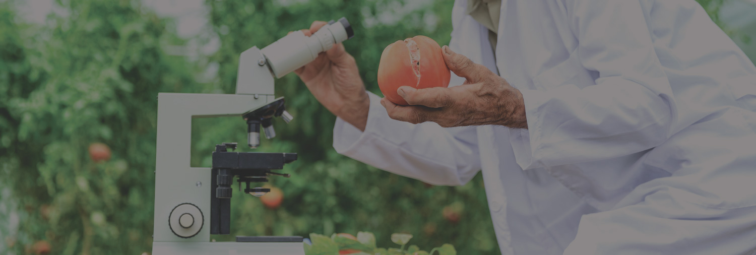 Tools / Reports - Why and How to Measure Food Loss and WasteWhy and How ...