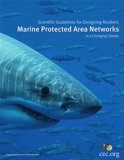 Scientific Guidelines for Designing Resilient Marine Protected Area ...