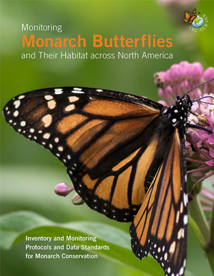 Monitoring Monarch Butterflies