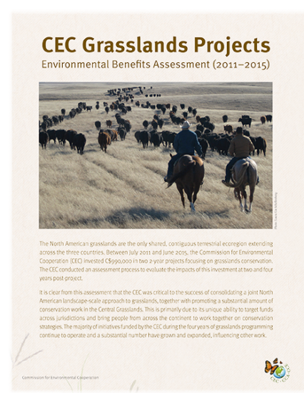Grasslands Conservation Initiatives for Sustainable Management