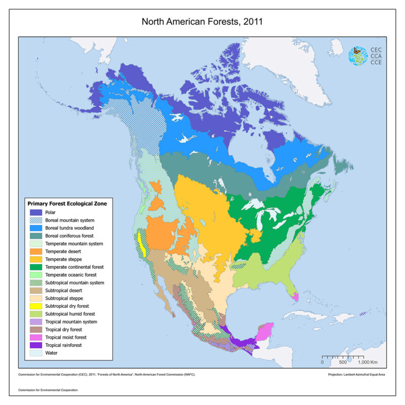 North American Forests, 2011