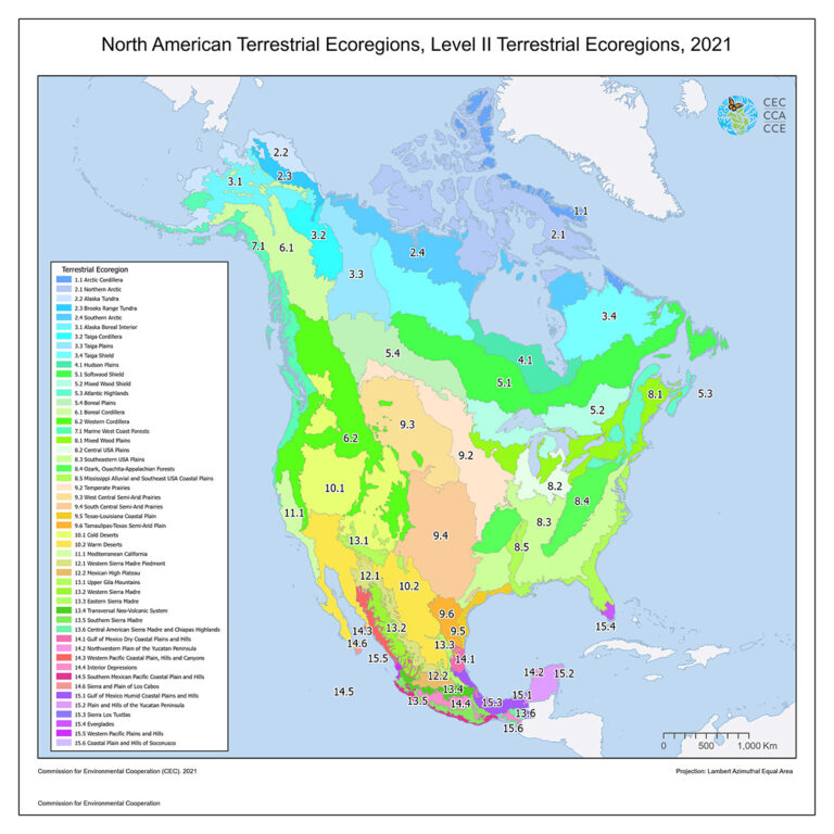 Terrestrial Ecoregions: Level II