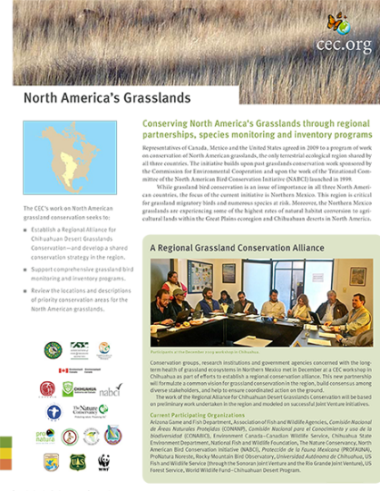Grasslands Conservation Initiatives for Sustainable Management