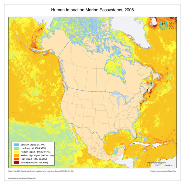 Human Impact on Marine Ecosystems