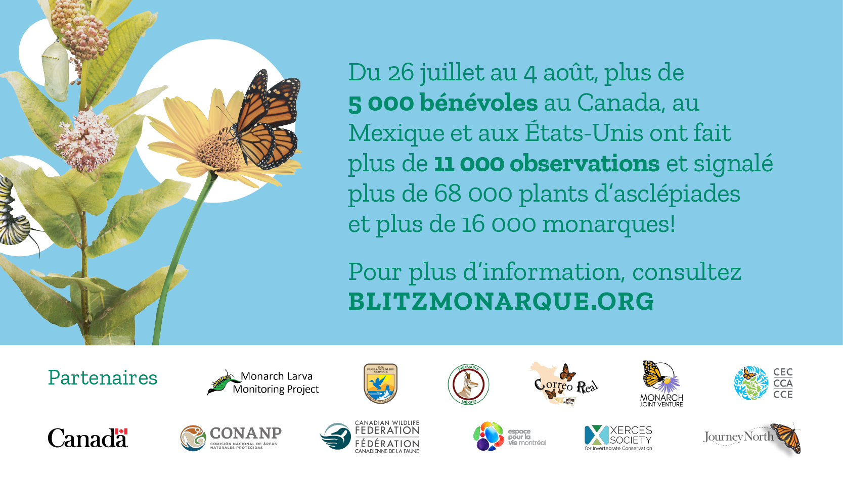 Blitz international de suivi du monarque