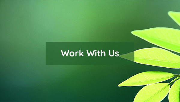 Work with Us: Winning Opportunities for North American Students